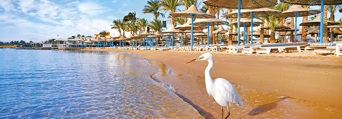 Dovolená Hurghada (Egypt) • CK Blue Style