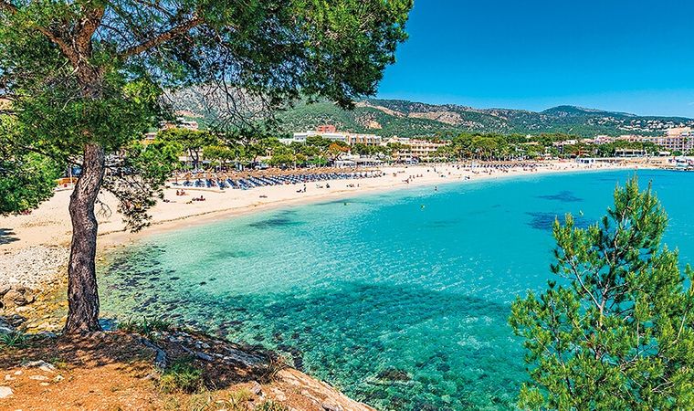 Fergus Club Palmanova Park (Léto 2023) • Mallorca • Španělsko • CK Blue ...